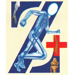 Top 100 Doctor Orthopaedic Goosefoot (Pes Anserine) Bursitis Of The ...