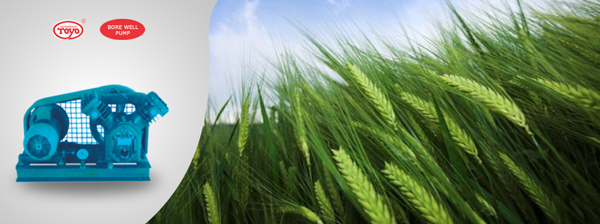 Aircomp Enterprise In Lati Plot Rajkot | Pressure Gauge In Rajkot ...